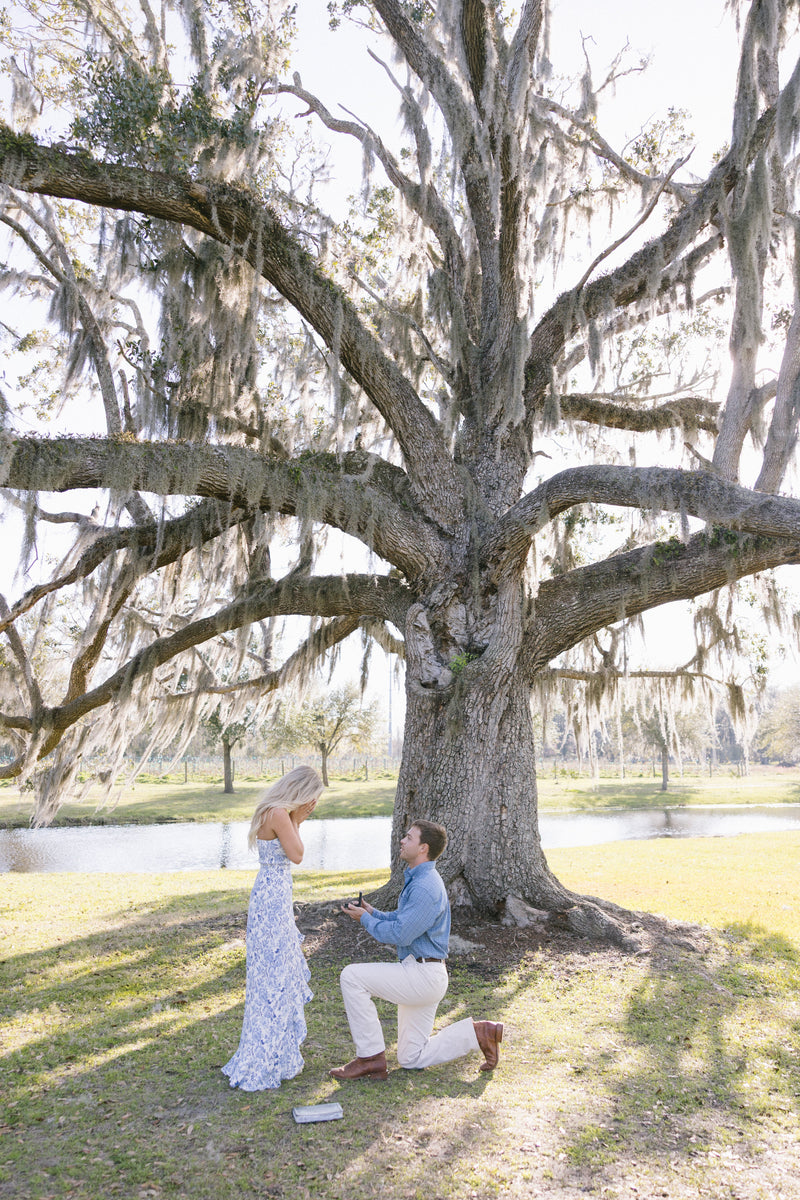 Clear Cut Couples: Haley and Calvin – The Clear Cut
